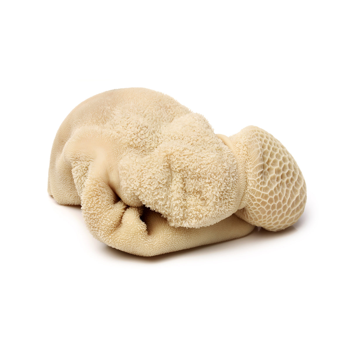 Beef Stomach 1 kg – DamasGate.store