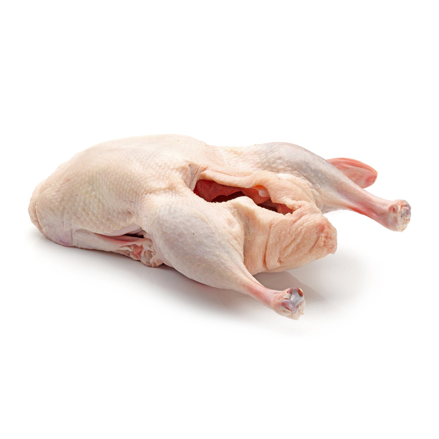 Duck Frozen – DamasGate.store